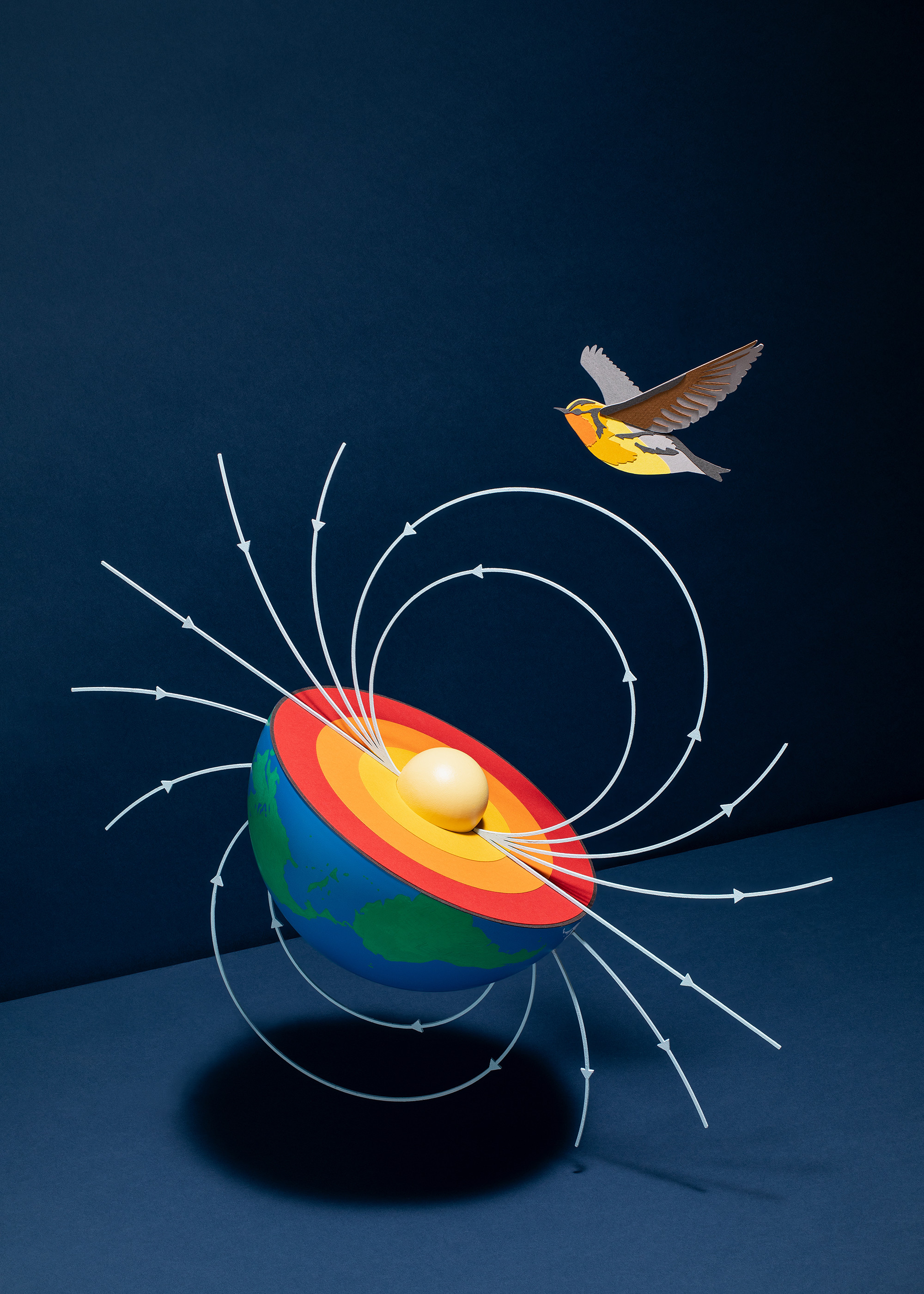 Kyle Bean - Navigating Birds